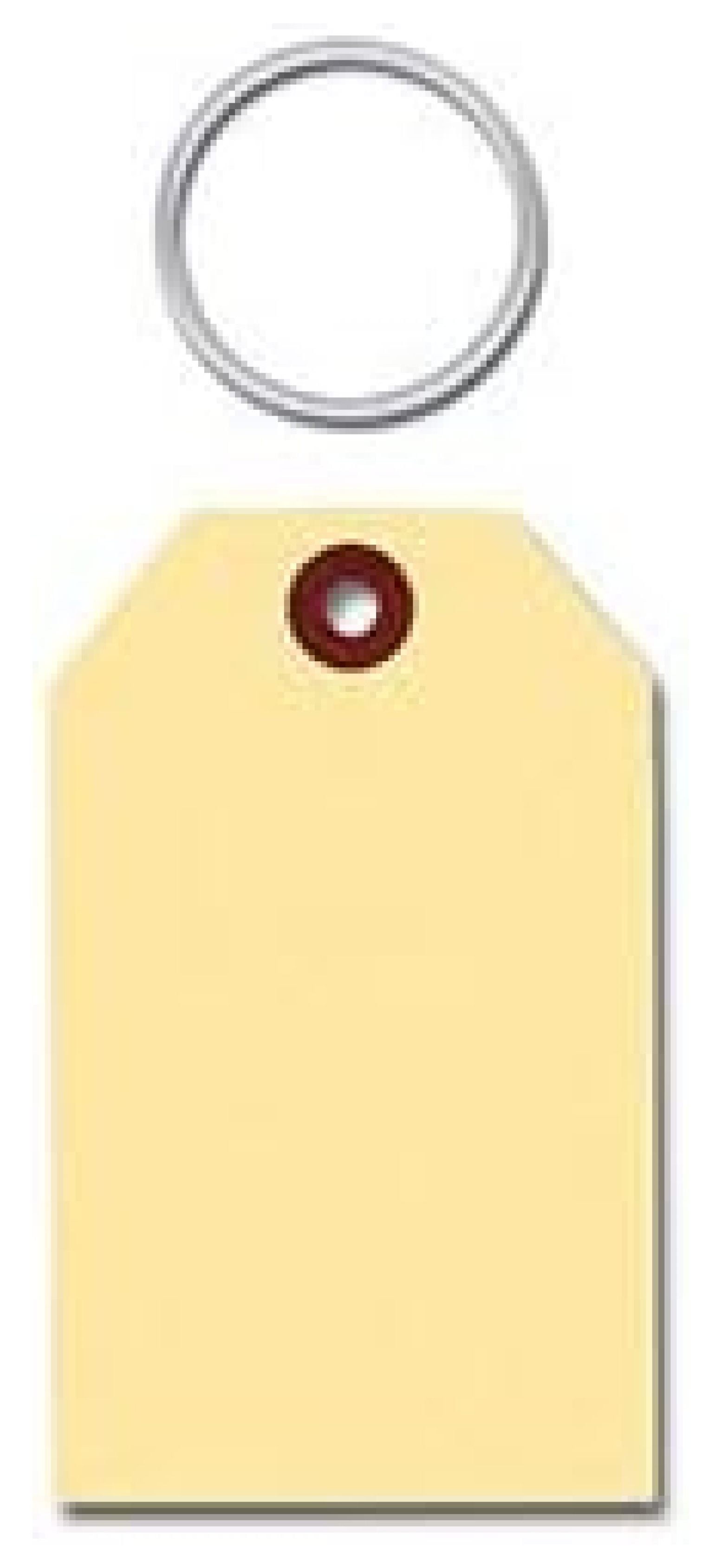 Manila Key - w/ 7/8" Ring Separate - Walmart.com