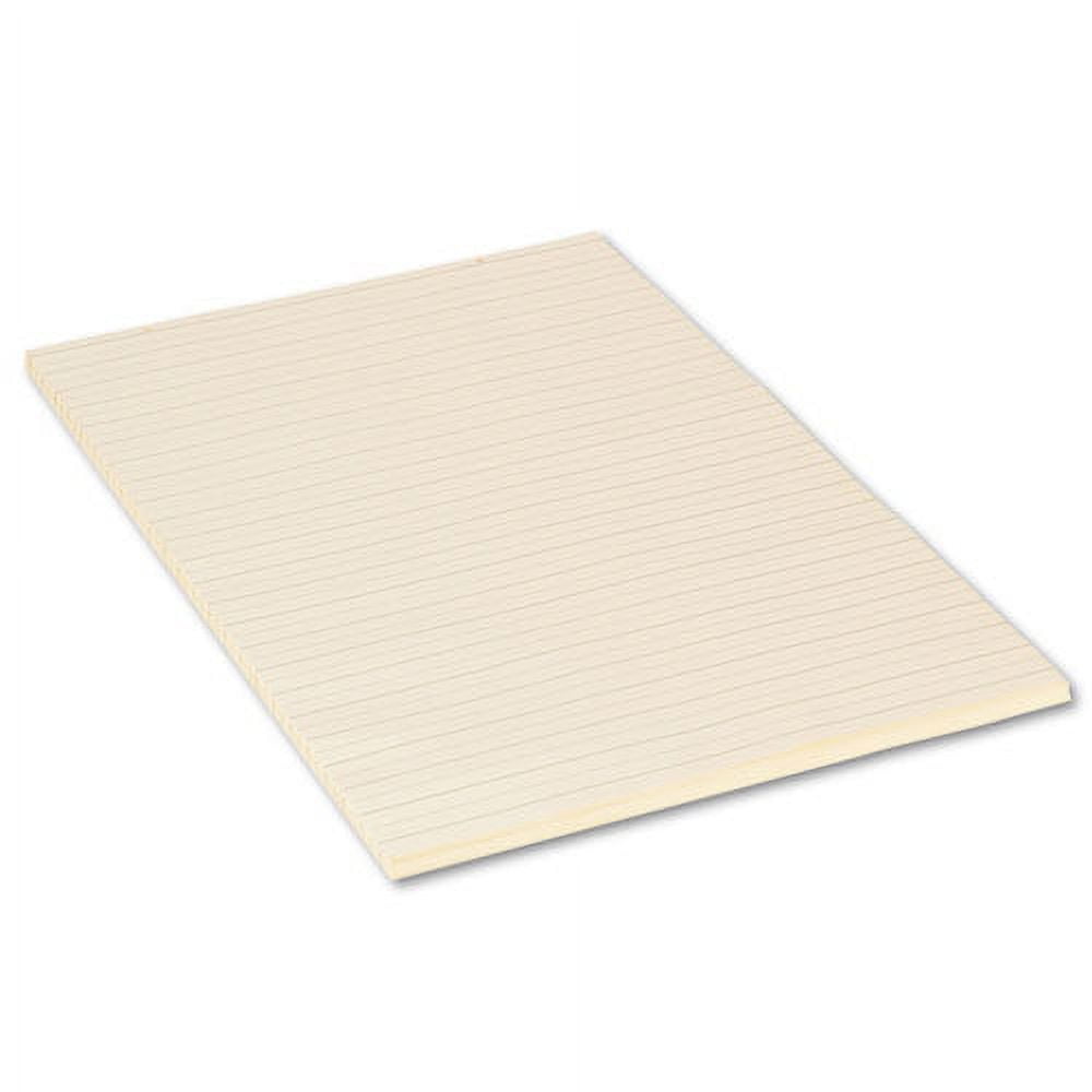 Manila Tag Chart Paper, Presentation Format (1 1/2" Rule), 100 White 24 ...