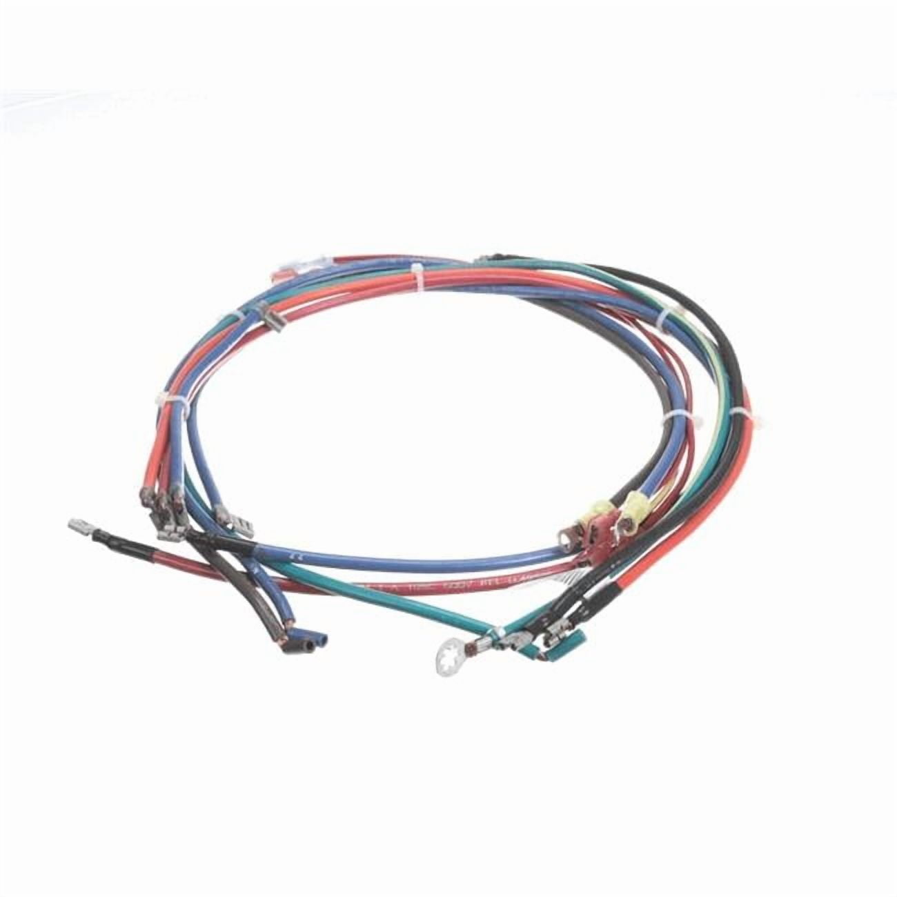 Manitowoc Ice 000015213 Genuine OEM Wire Harness - 230V, 50HZ, 1PH ...