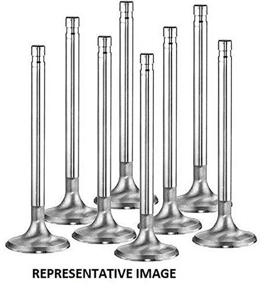 Manley Ford Coyote 5.0L DOHC 4 Valve 37mm Triple Groove Race Master ...