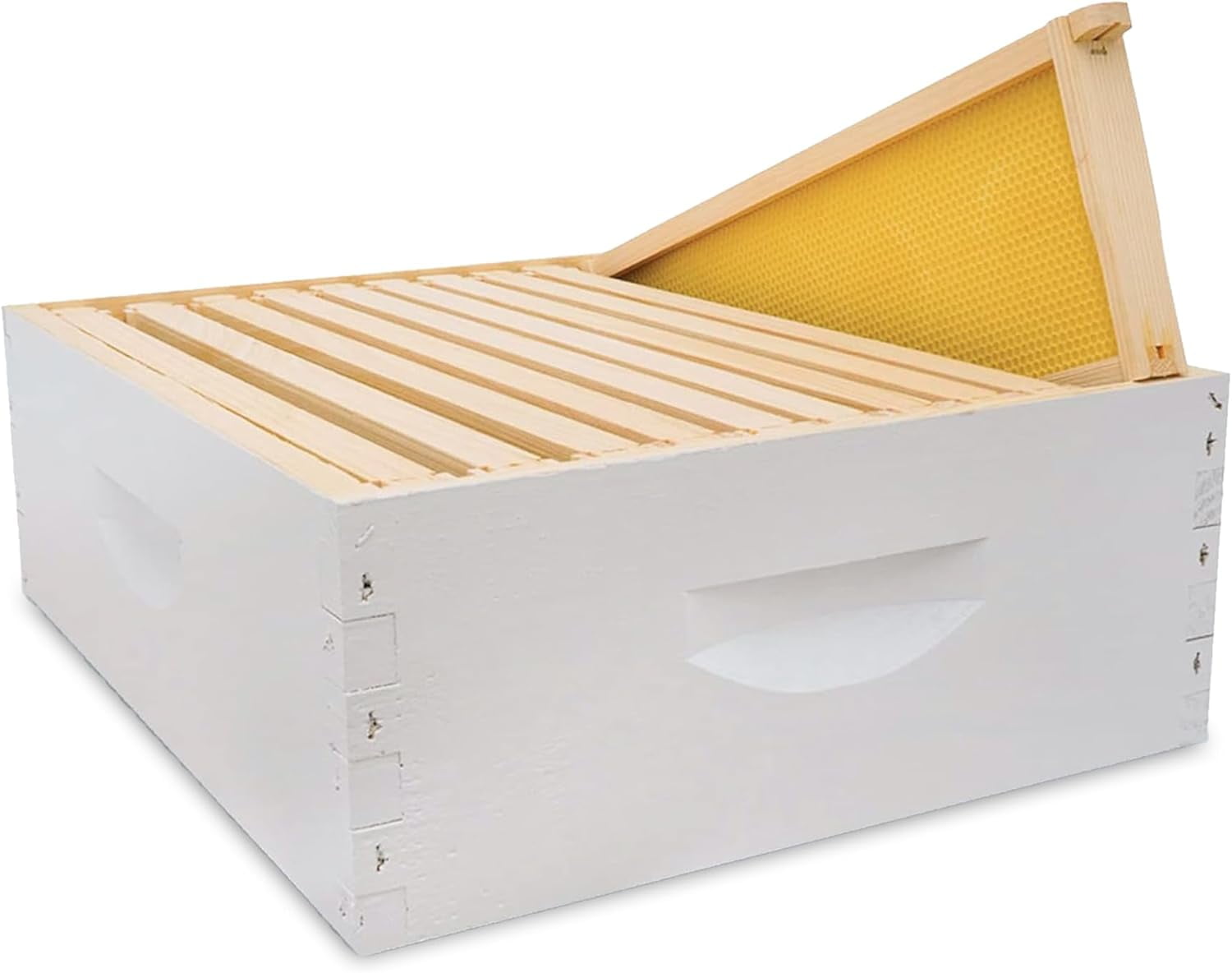 Mann Lake 10-Frame Medium Super Kit, Fully Assembled 6⅝" Super Box with ...