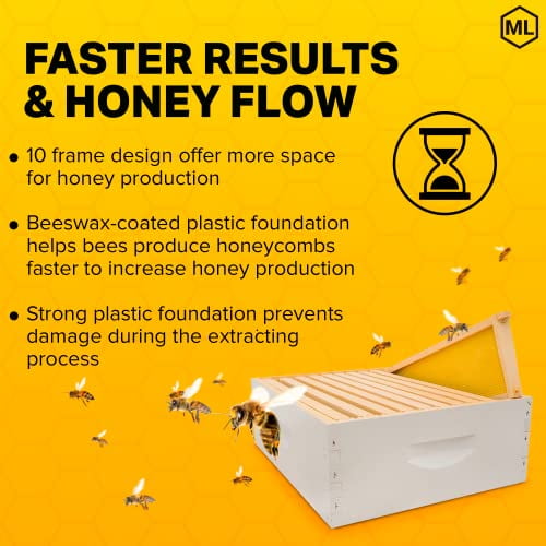 Mann Lake Hive Body Bundle, Assembled, 10-Frame, Painted, Beekeeping ...