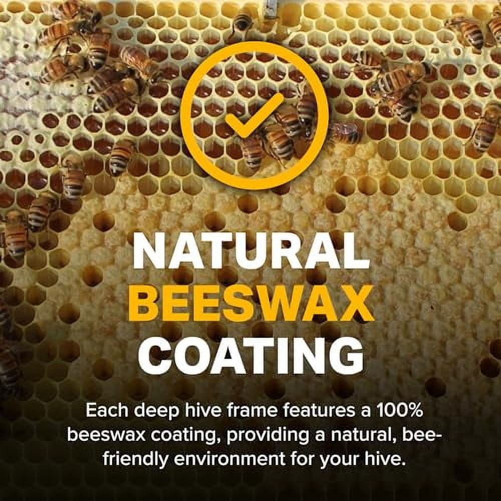 Mann Lake Premium Beekeeping Frames, All-in-One Frame & Foundation ...