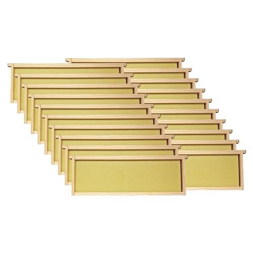 Mann Lake Premium Beekeeping Frames, Fully Assembled, Deep Rite-Cell Hive Frames, Beeswax ...