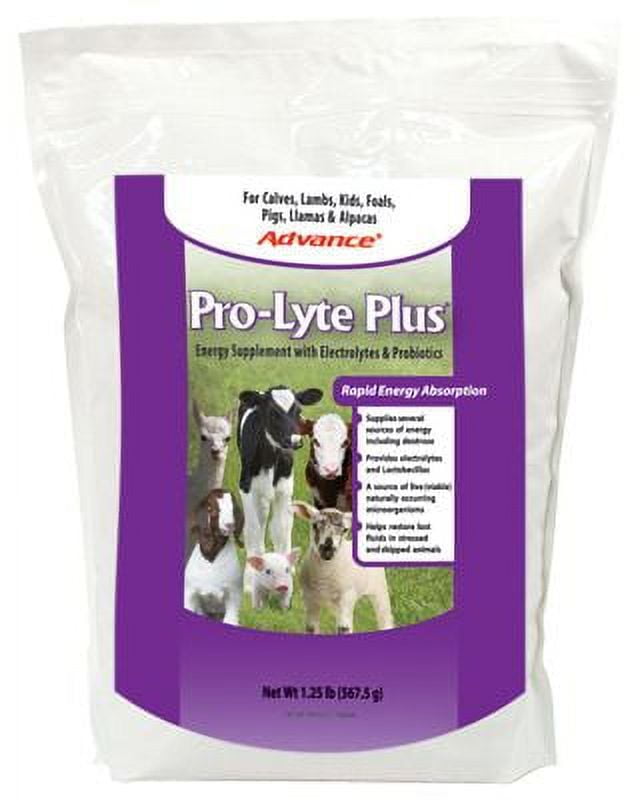 Manna Pro 1000367 Pro-Lyte Plus Livestock Electrolyte Supplement, 1.2 ...