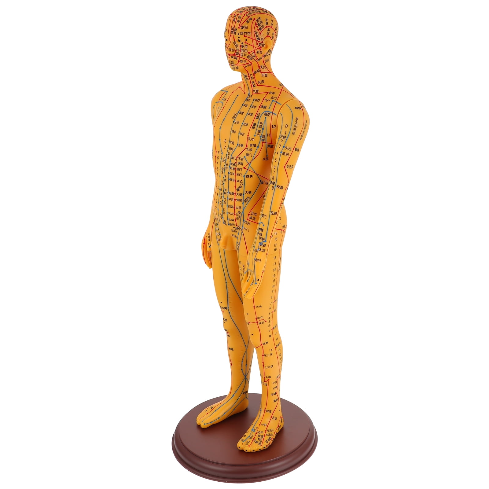 Mannequin Acupressure Mat Cupping Therapy Spike Men and Women - Walmart.com