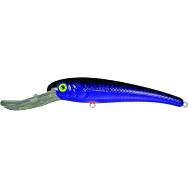Rapala X-Rap Magnum 30 Saltwater Trolling Fishing Lure 6.25" 2-1/2oz ...