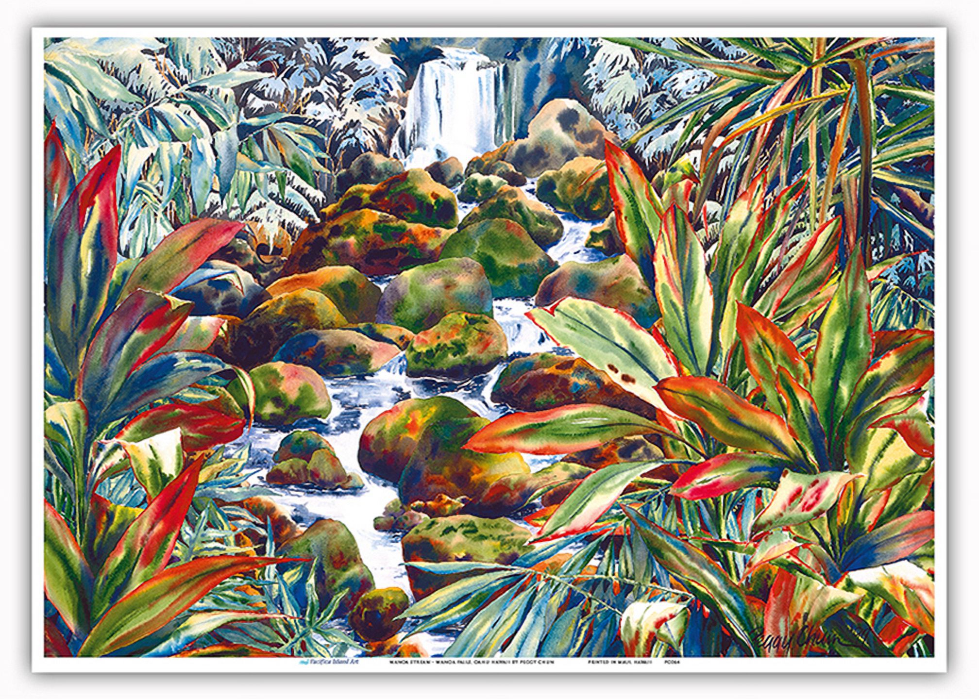 Manoa Stream - Manoa Falls Oahu Hawaii - From an Original Hawaii ...