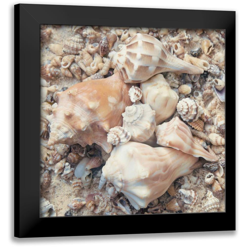 Mansfield, Kathy 15x15 Black Modern Framed Museum Art Print Titled ...