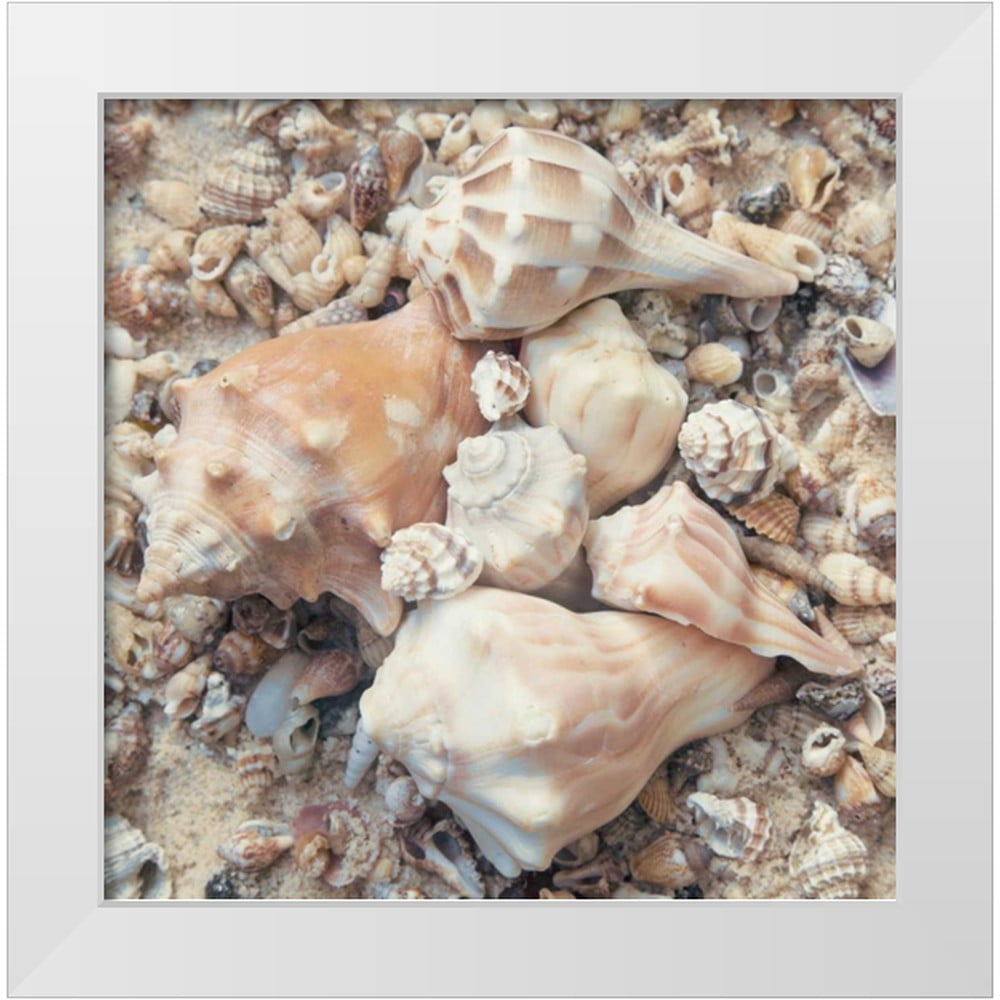 Mansfield, Kathy 26x26 White Modern Wood Framed Museum Art Print Titled ...