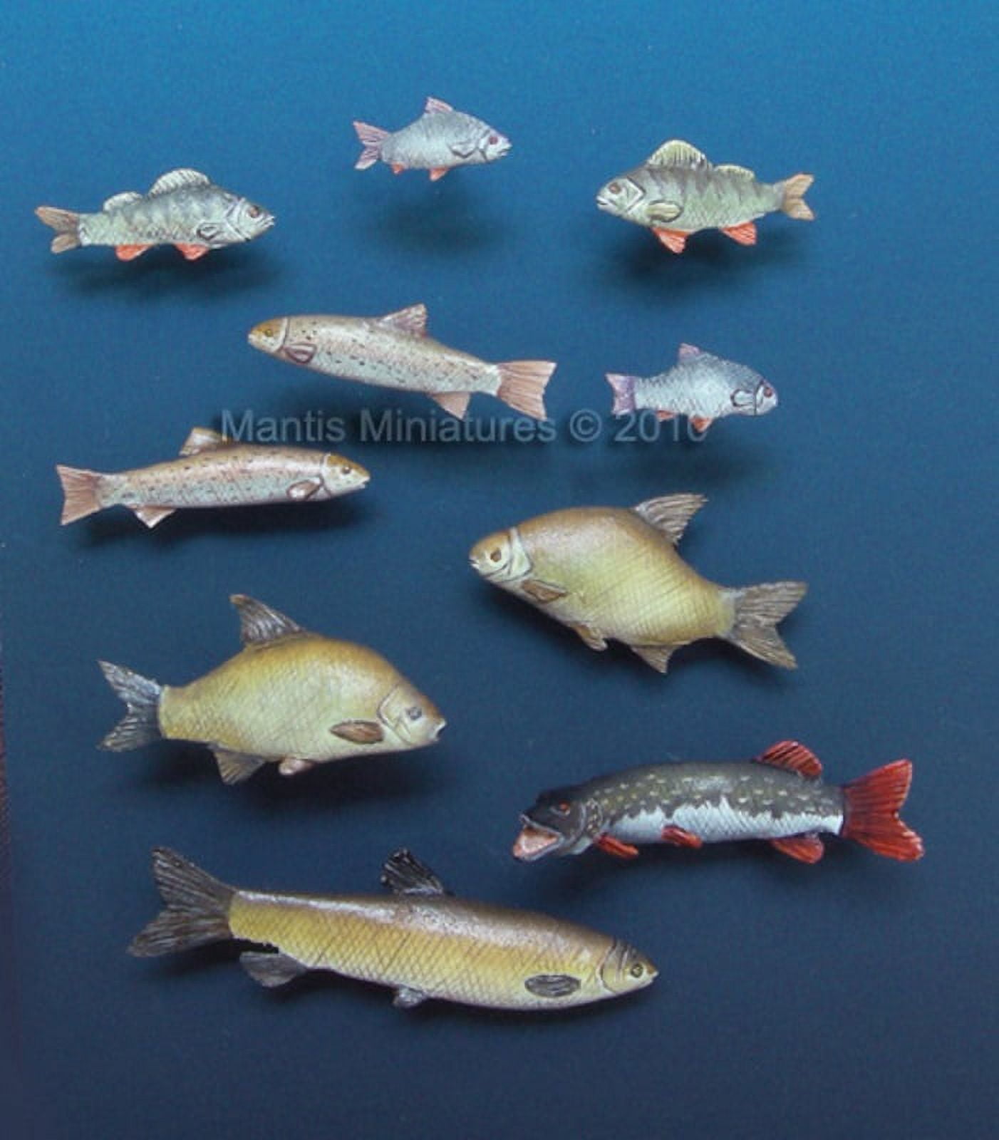 Mantis Miniatures 1:35 Animals Set 5 Fish Resin Figure Kit #35020 ...