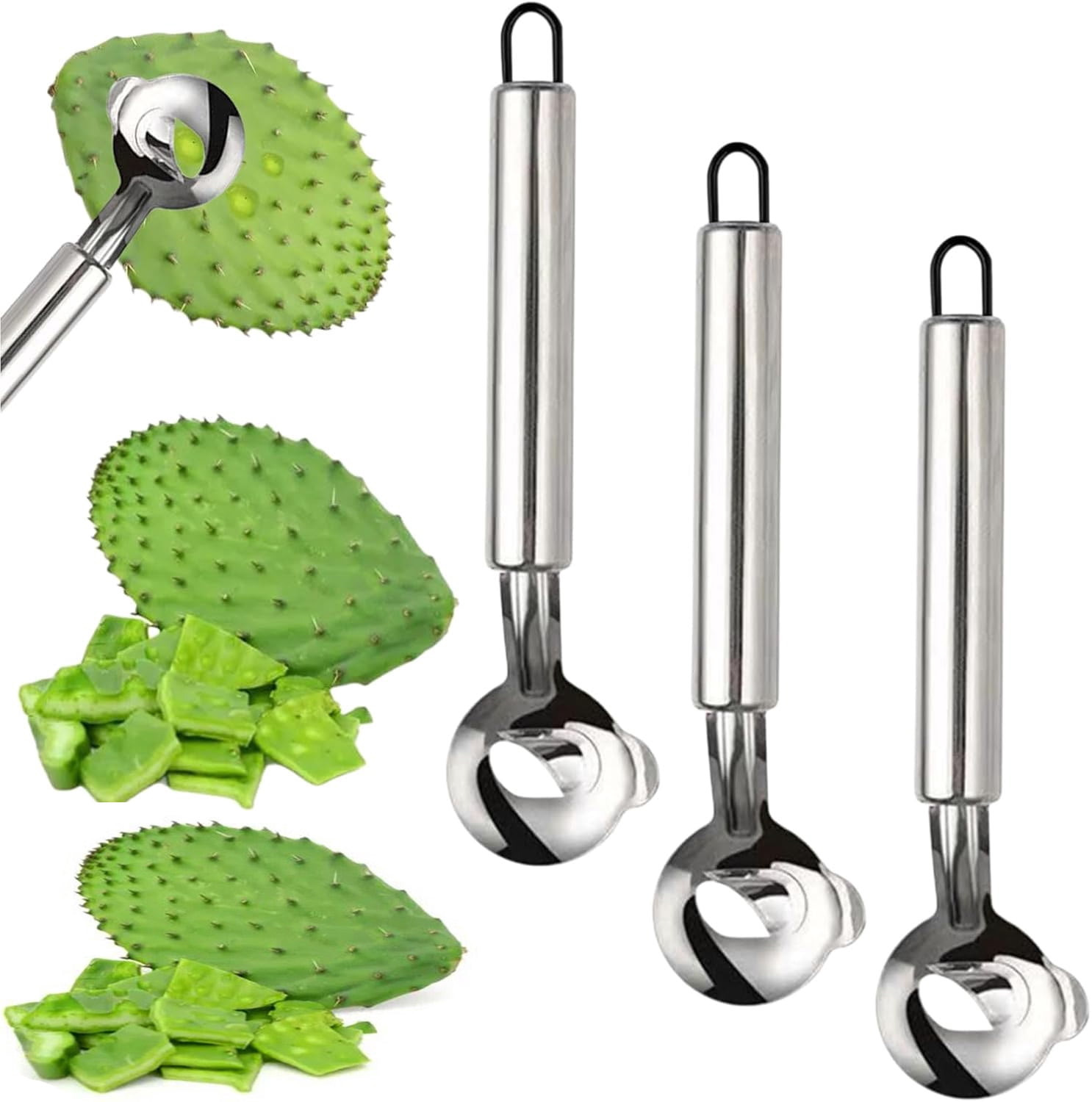 Manual Cactus Thorn Removal Knife, Stainless Steel Cactus Thorn Remover ...