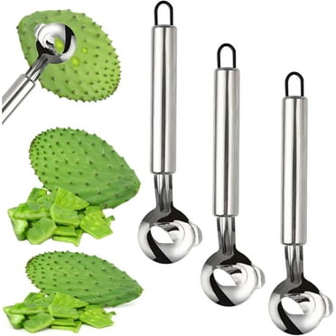 WYBXZ 2024 New Cactus Peeler, Manual Cactus Thorn Removal Cutter ...