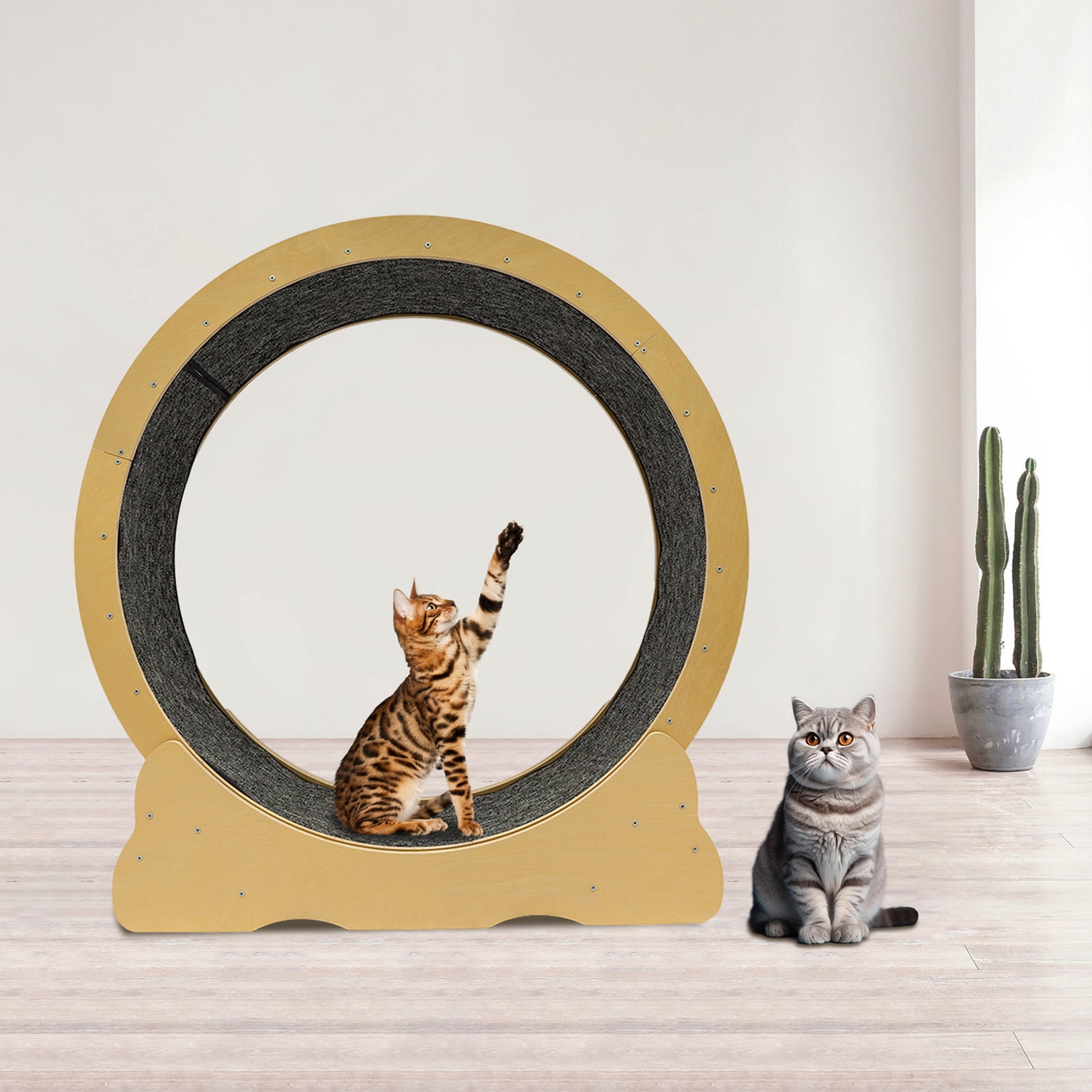 Manual Cat Exercise Wheel, Cat Exercise Wheel Modern Round Cat Wheel ...