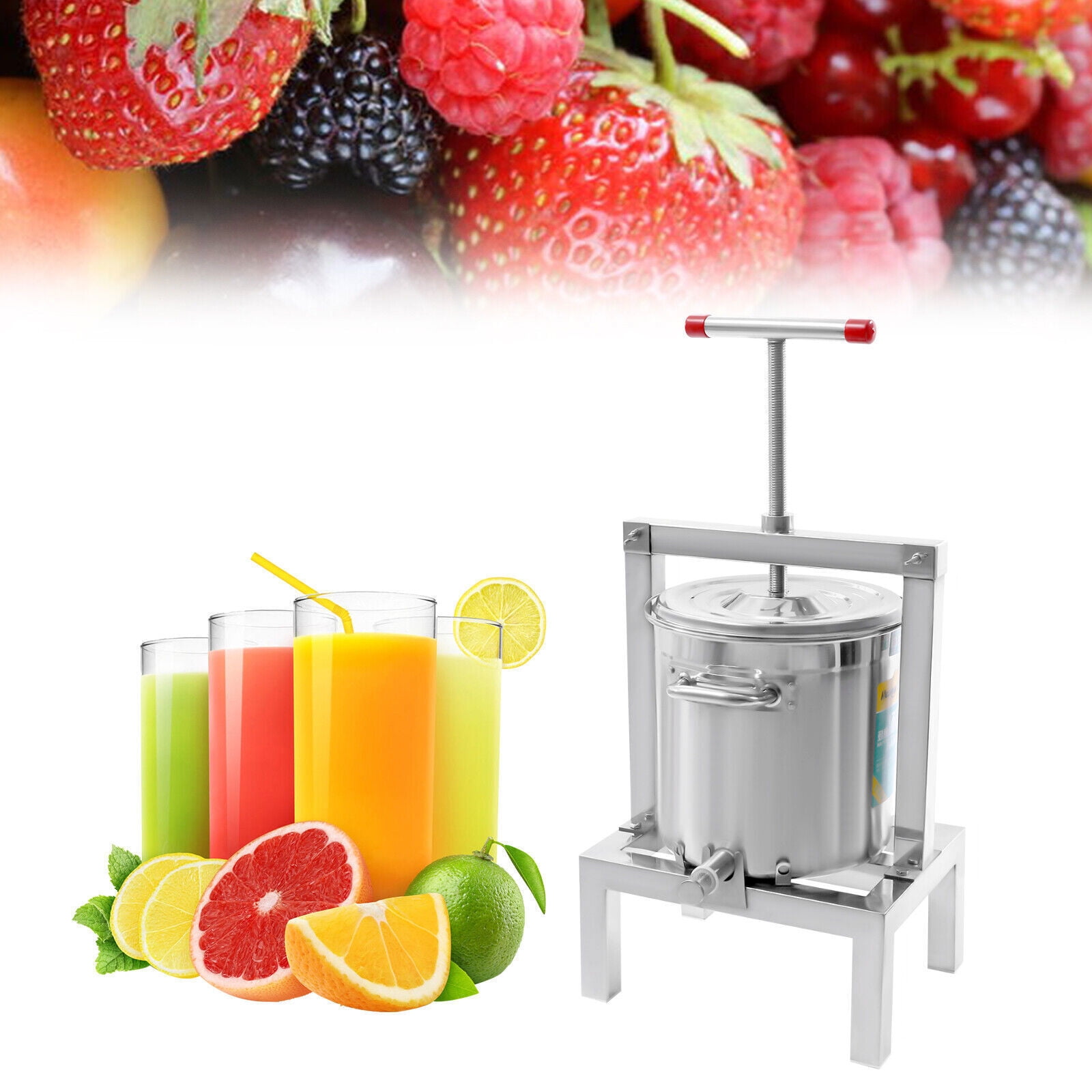 Manual Fruit Juicer Grape, Apple Juice Extractor 2.6gal/10L with Press ...