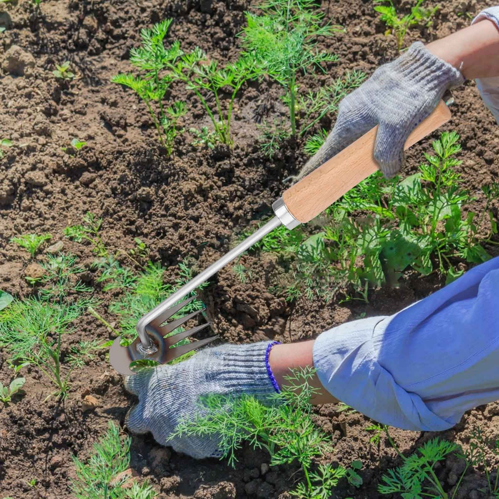 Manual Garden Weeder Tool - Four-Tine Weed Puller | Heavy Duty ...