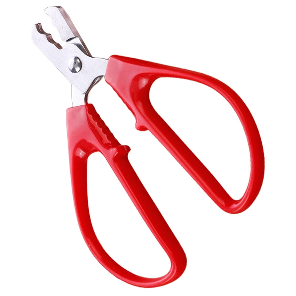 Manual Pine Nut Opener Stainless Steel Nut Plier Pine Nut Peanut Nut ...