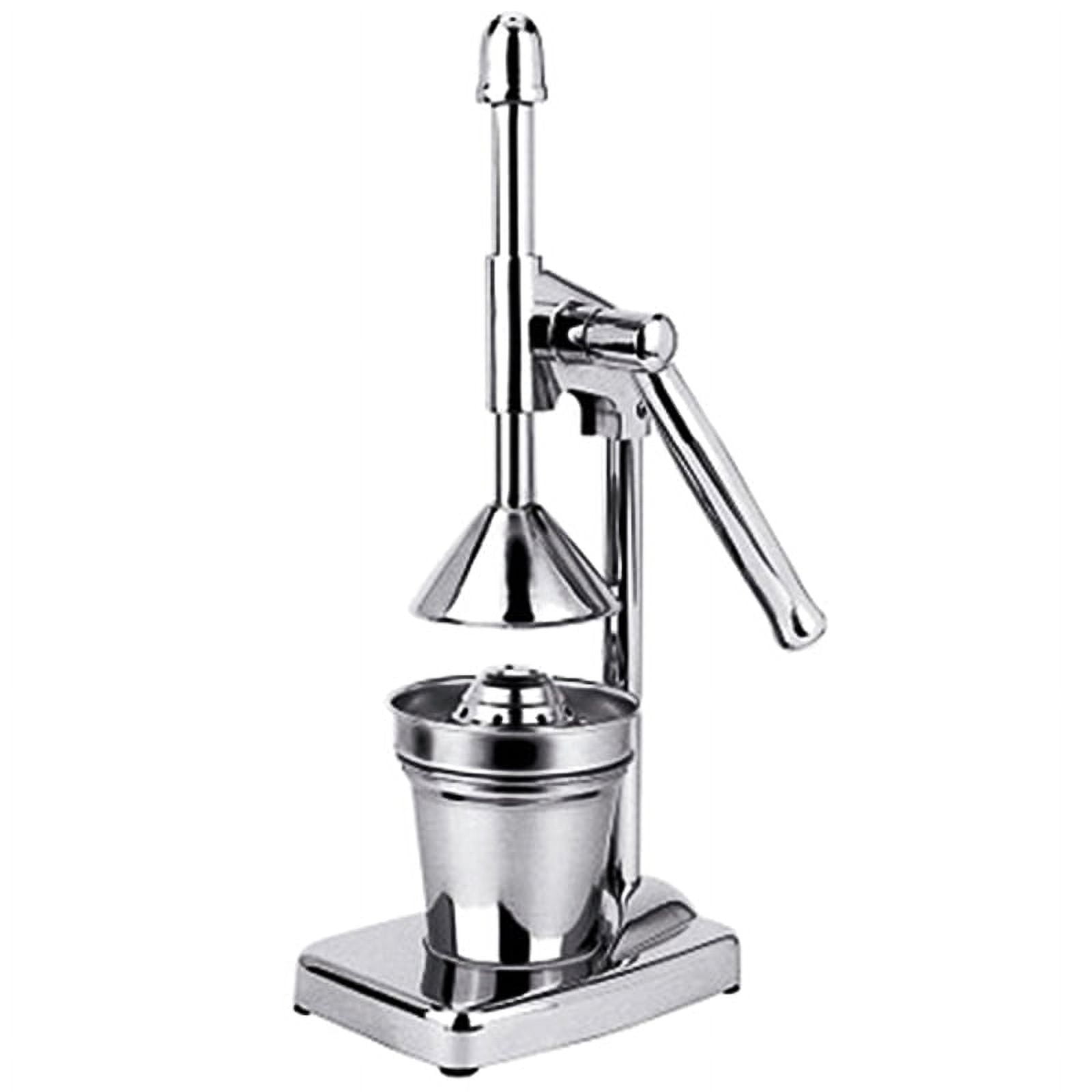 Manual Stainless Steel Juicer, Handheld Vegetable/Orange Juice Maker ...