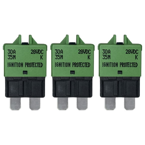 30 Amp Automotive Fuses