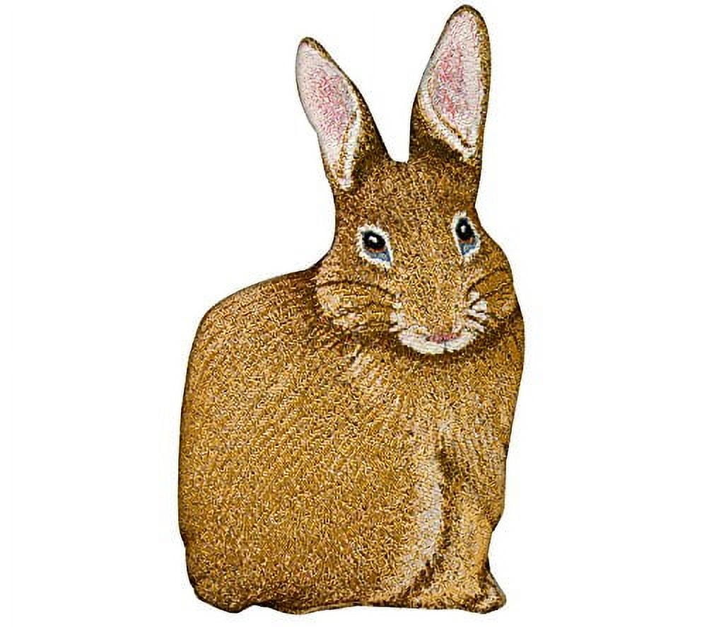 Manual Woodworkers & Weavers Bunny Hop Hare Raising Rabbit Shaped ...