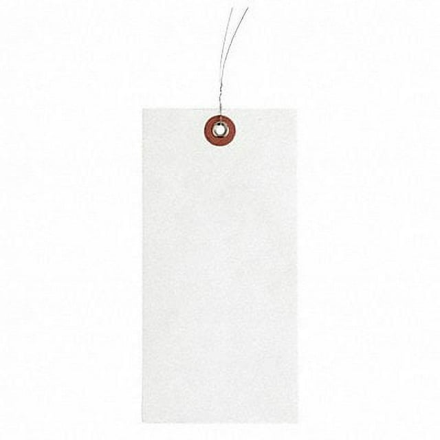 Manufacturer Varies Blank Shipping Tag,Paper,Manila,PK1000 1HAC6 ...