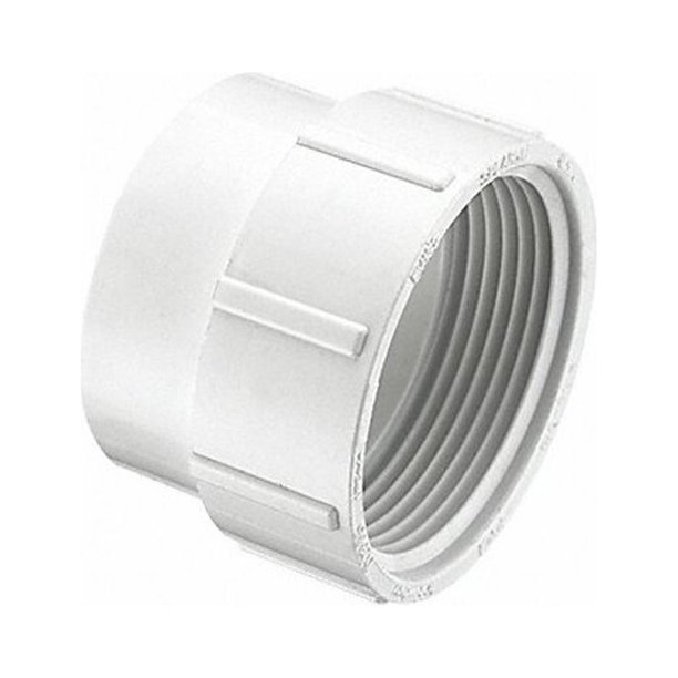 Manufacturer Varies Cleanout Adapter, Schedule DWV, 6 in P105-060 ...