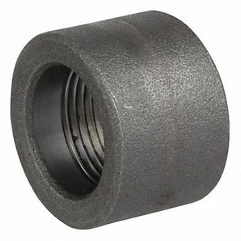 Manufacturer Varies Half Coupling, 316 SS,3",FNPT,Class 3000 4307001528 ...