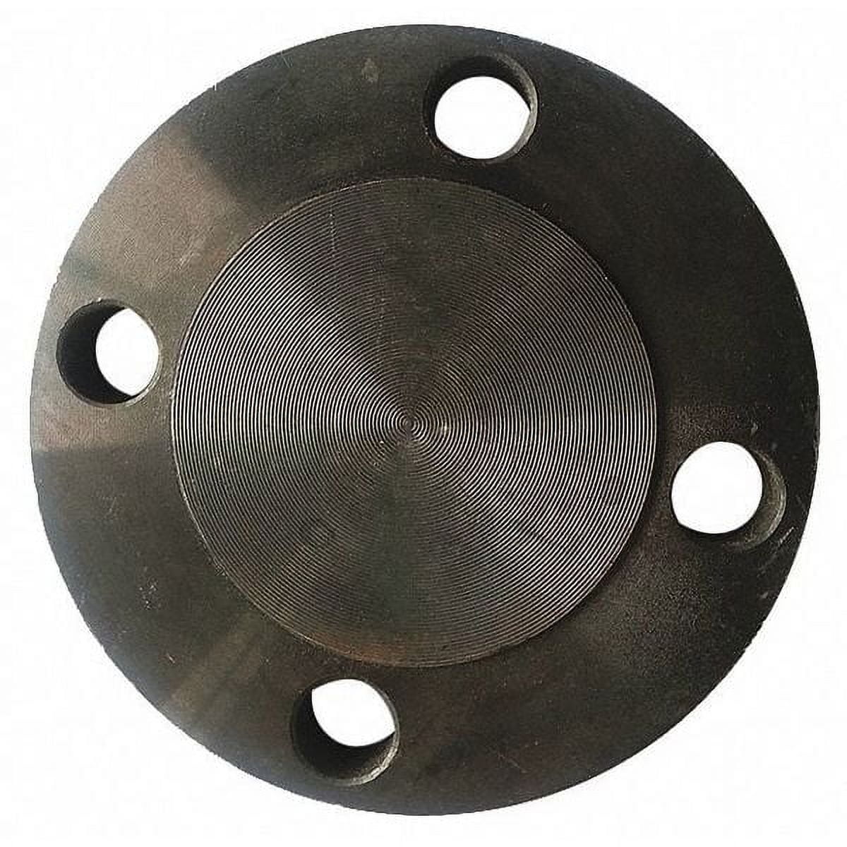 Manufacturer Varies Pipe Flange,Steel,6" Pipe Size,Class 150 ...