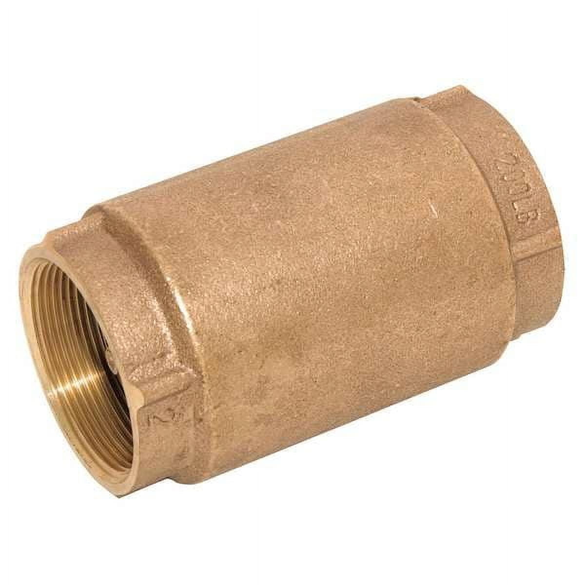 Manufacturer Varies Spring Check Valve,2.75 in Overall L 6AJY2 ...