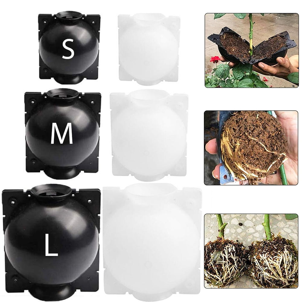 Manunclaims 5 PCS Rooting Device Balls, Assisted Plant Rooting High ...