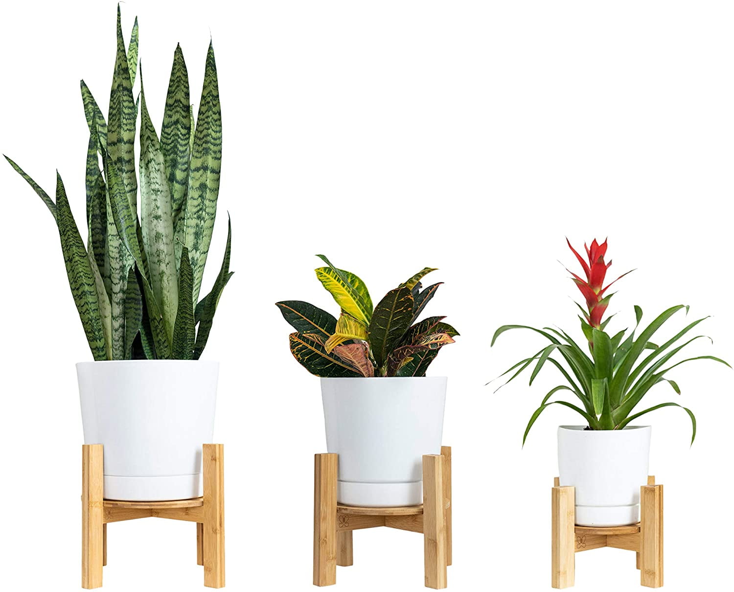 Manunclaims Modern Mini Plant Stand, 1Pcs Creativity Indoor Free ...