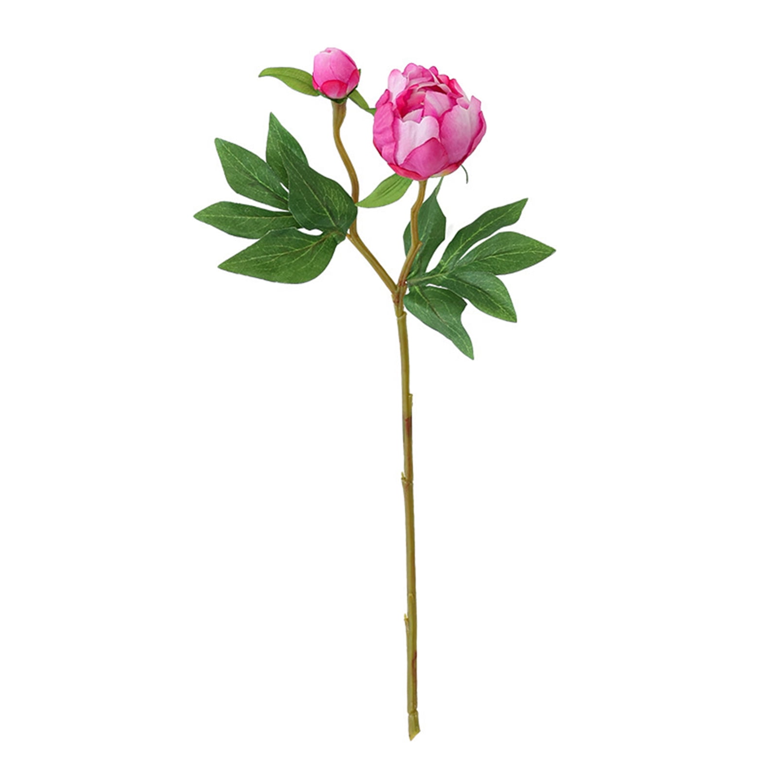 Manunclaims Simulation Flower Non-fading Not Withered No-watering Photo ...