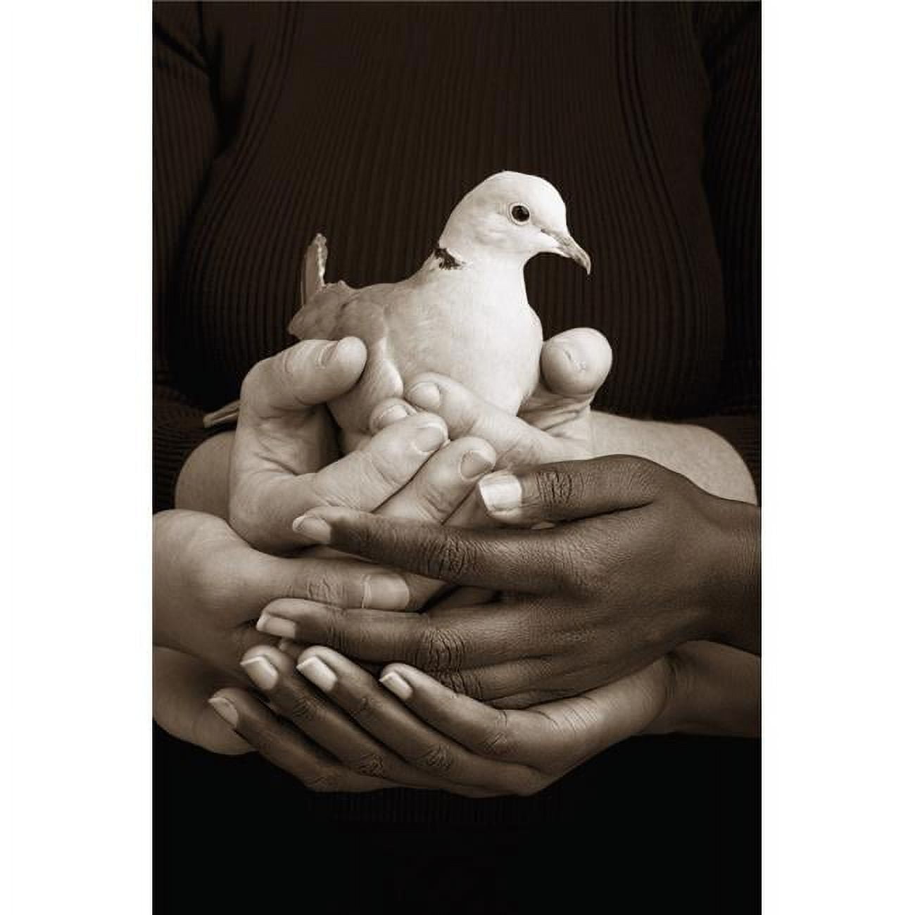 Many Hands Holding A Dove Poster Print by Ron Nickel, 12 x 18 - Walmart.com