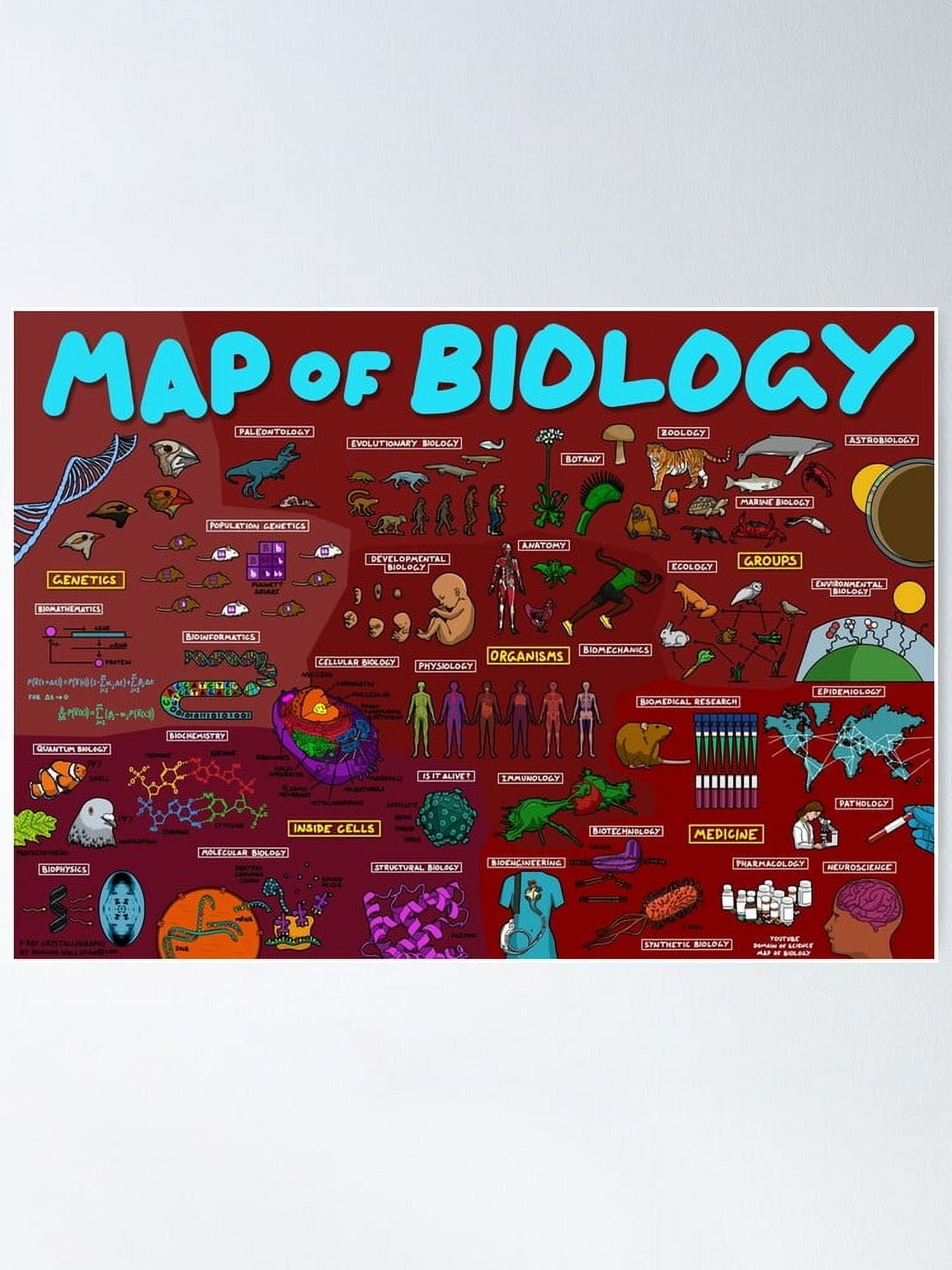 Map of Biology Poster - Walmart.com