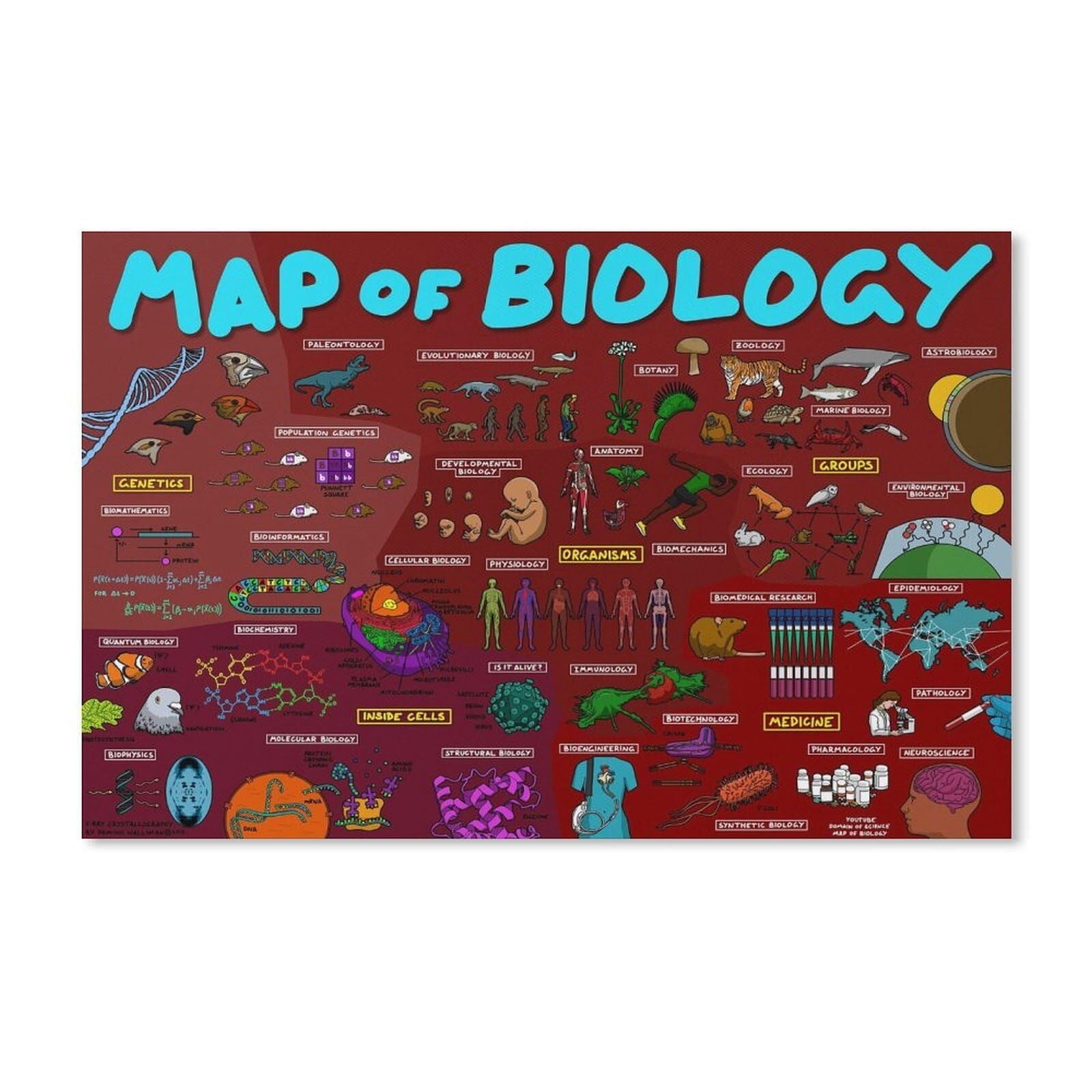 Map of Biology Relativity, Mathematical Formulas, Classroom Poster ...