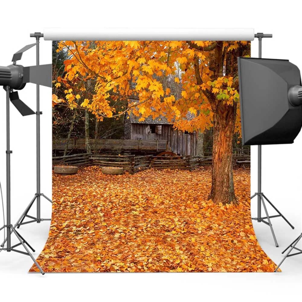 Maple Leaf Background for Photography Autumn Photo Backdrop Studio ...