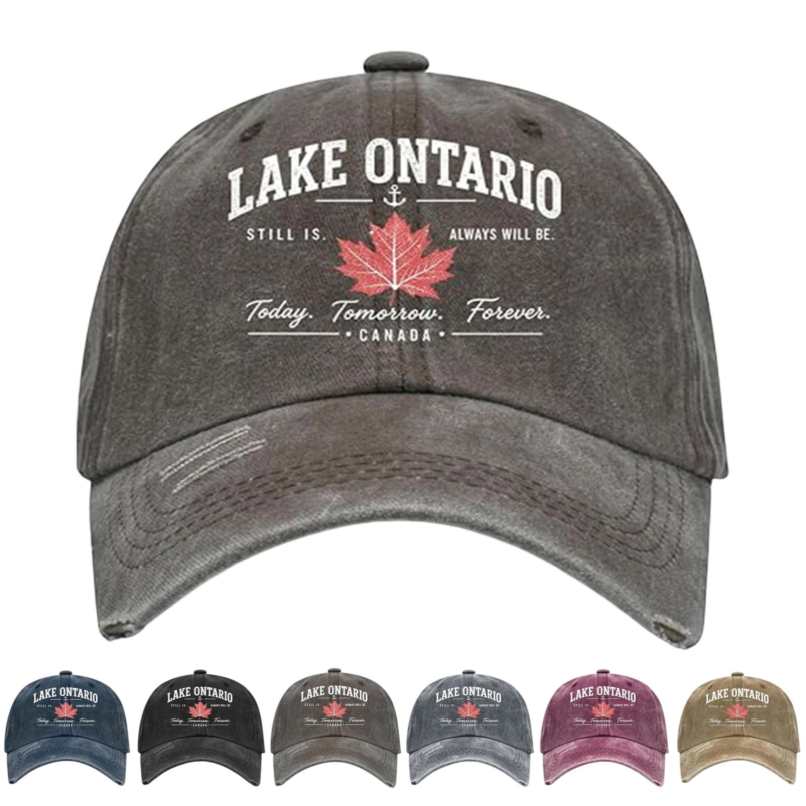 Lake Ontario Hat Canada Lakes Vintage Baseball Cap Adjustable Dad Hat ...