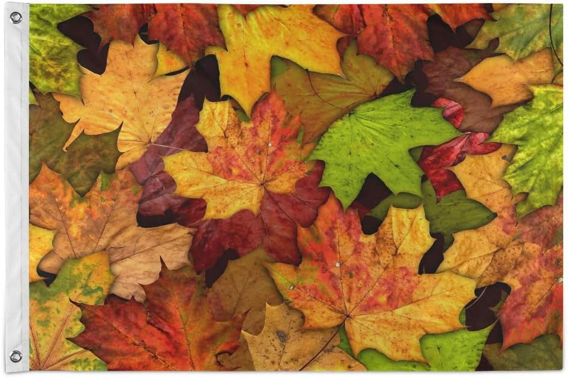 Maple Leaves Autumn Fall Forest Flags Maple Leaves Harvest Thanksgiving ...