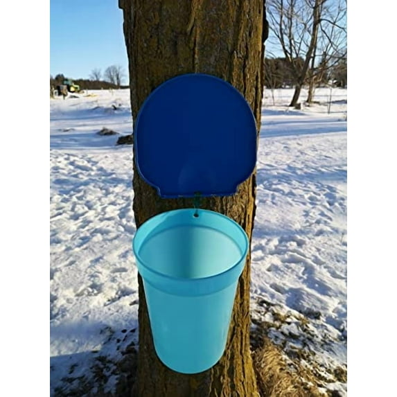 Maple Syrup Backyard Starter Kit Blue 2 Gal Poly Sap Bucket Kit, with ...