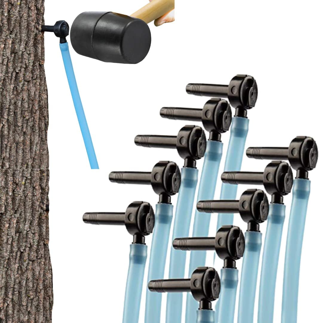 Deluxe Maple Syrup Tree Tapping and Sugaring Starter Kit - 10 Taps, 10 ...