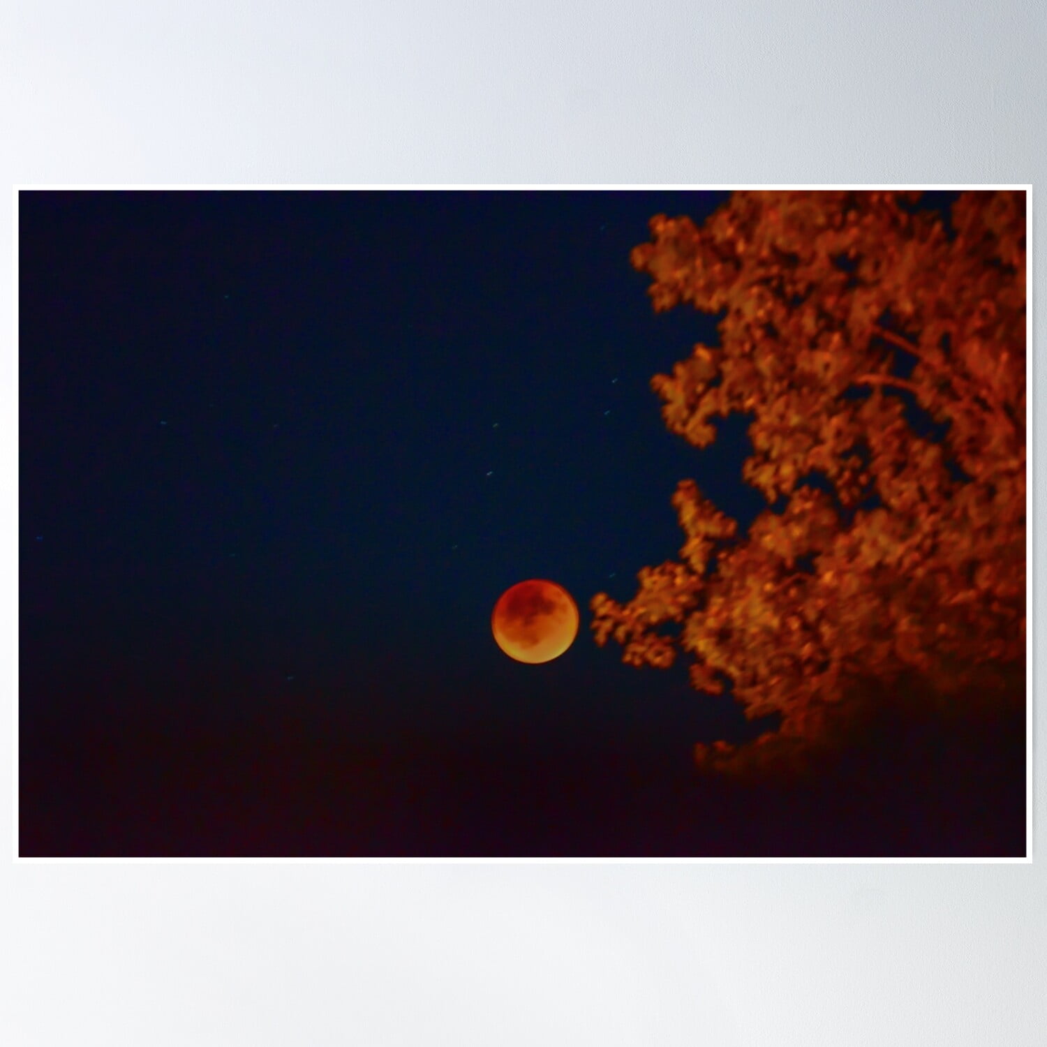Maple Tree Under Orange Eclipse Moon Poster Wall Art, Modern Wall Decor ...