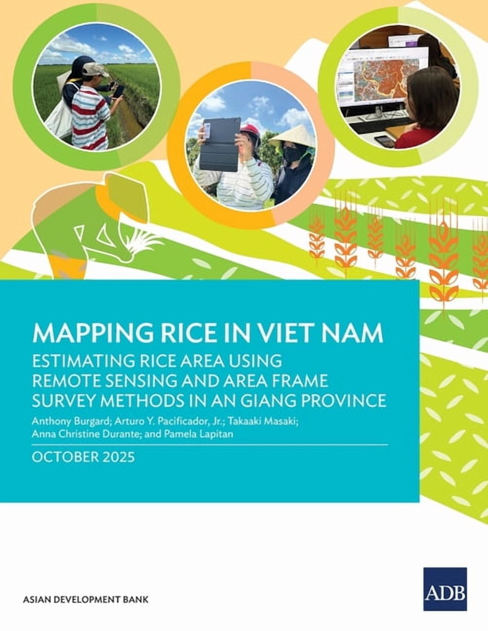 Mapping Rice in Viet Nam: Estimating Rice Area Using Remote Sensing and ...