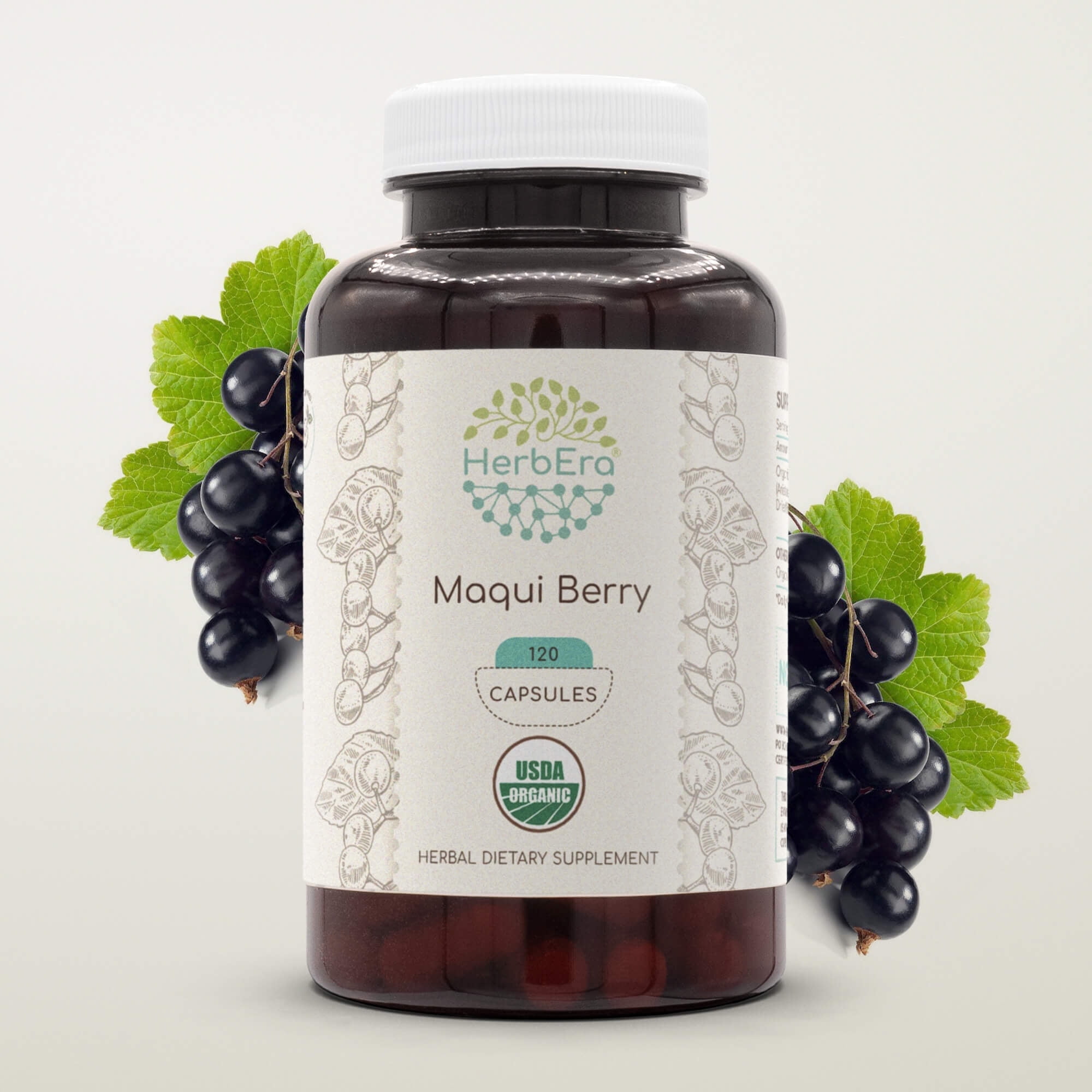 HerbEra Maqui berry Capsules, Organic Herbal Dietary Supplement for ...