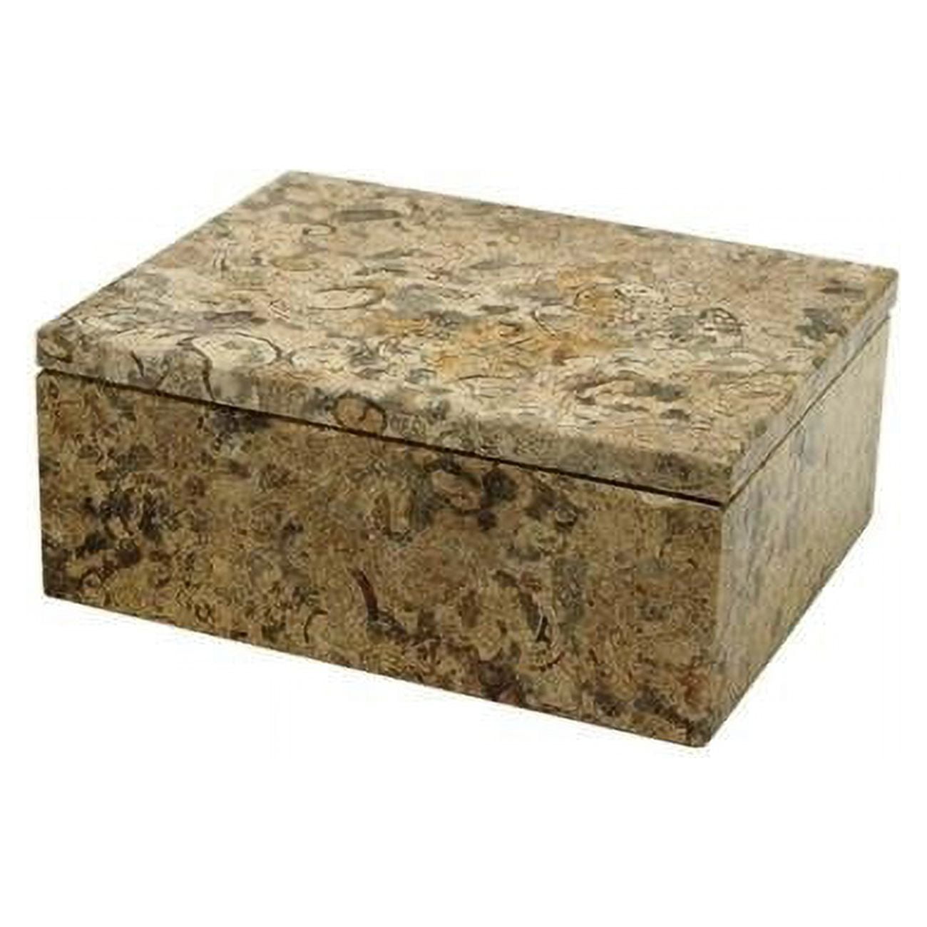 Marble Crafter BX45-FS 5 in. Rectangular Asteria Keepsake Box, Fossil ...