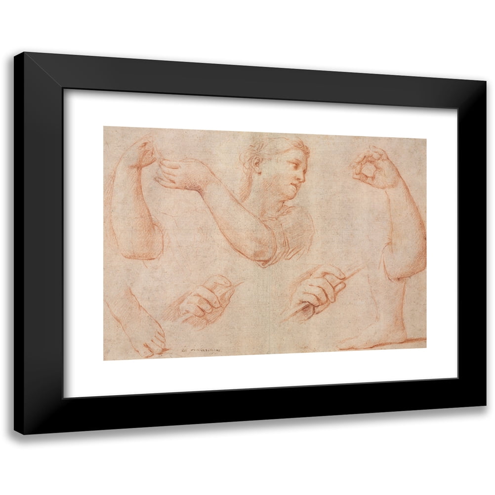 Marcantonio Franceschini 18x14 Black Modern Framed Museum Art Print ...
