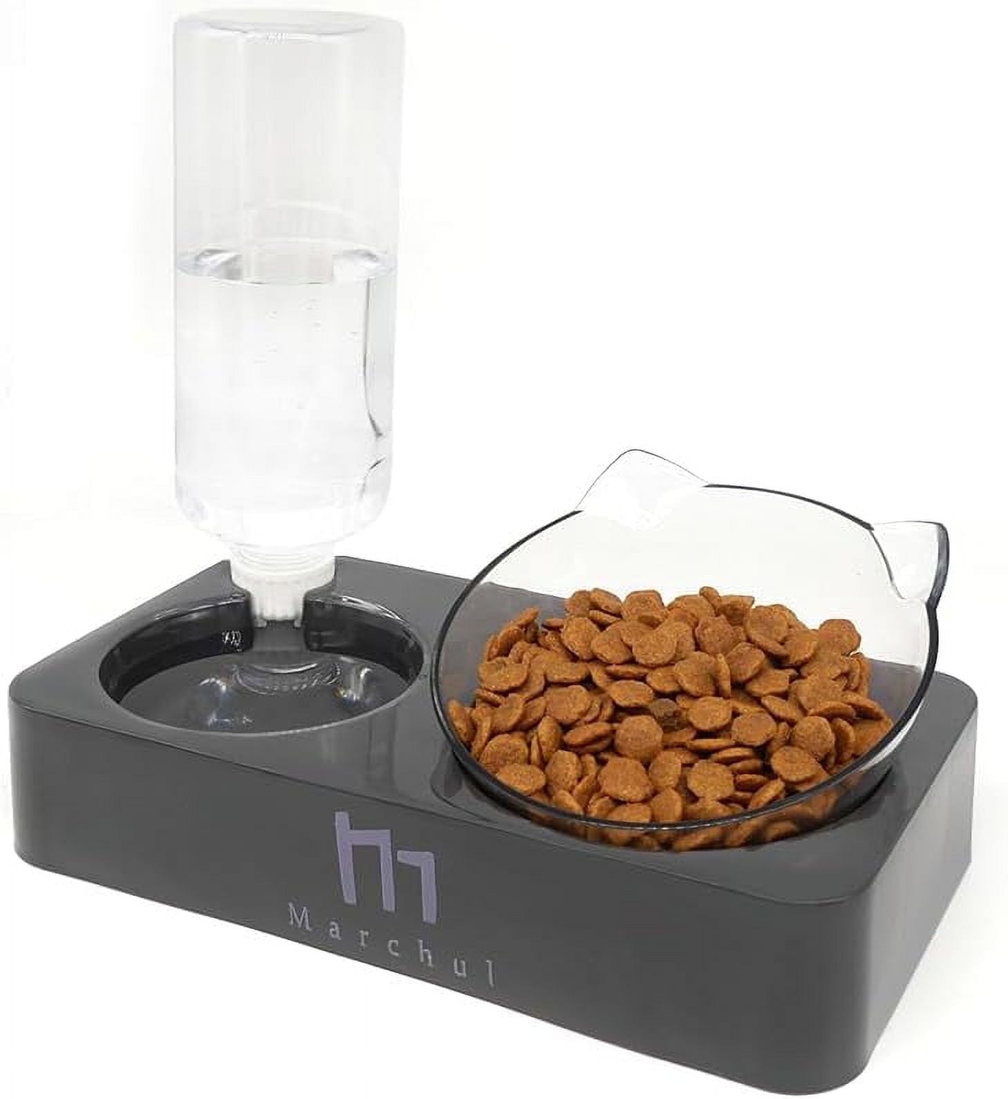 Marchul Slanted Elevated Black Dishes, Transparent Cat Puppy Bowl ...