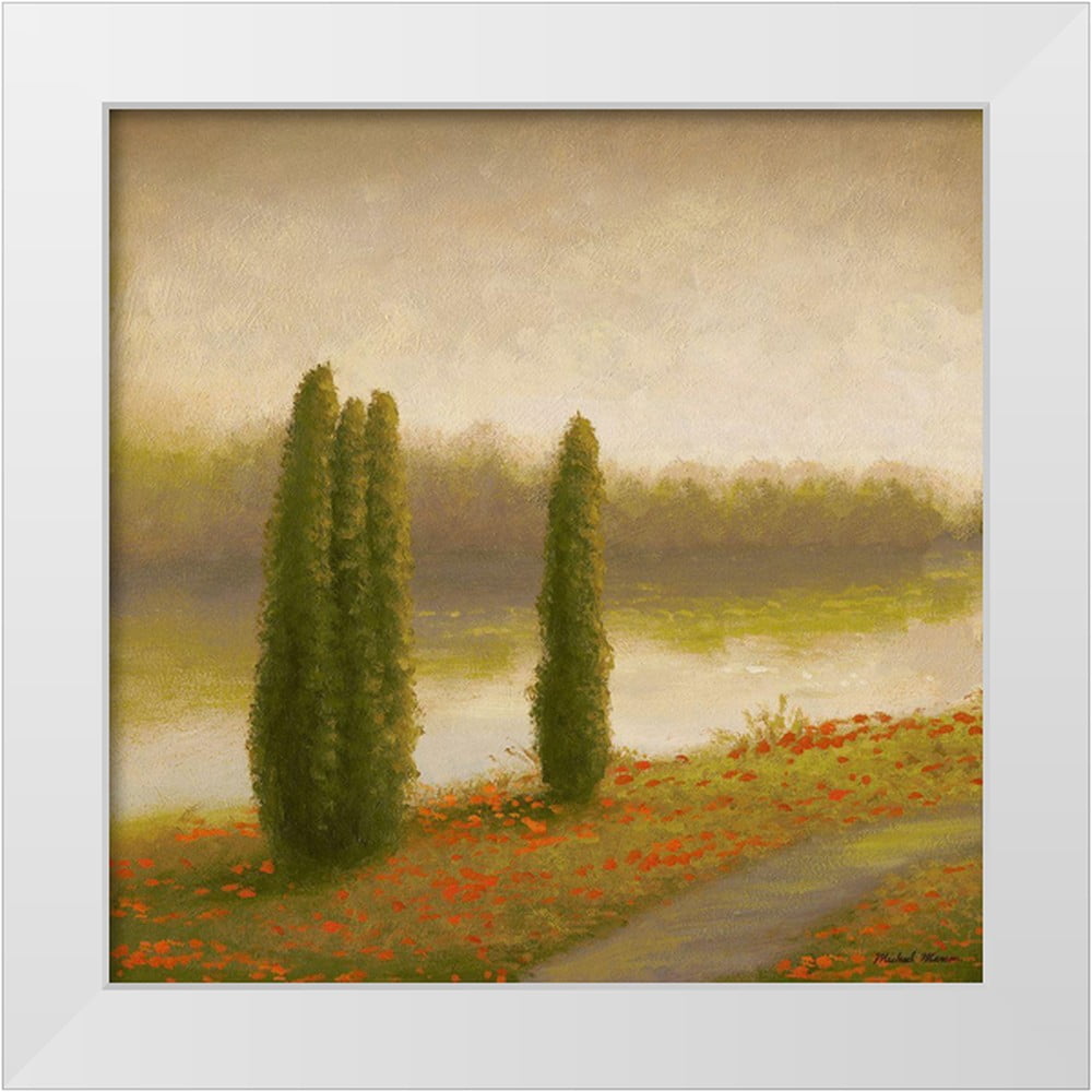 Marcon, Michael 20x20 White Modern Wood Framed Museum Art Print Titled ...