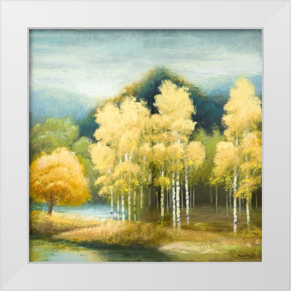 Marcon, Michael 26x26 White Modern Wood Framed Museum Art Print Titled ...