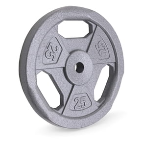 25lb Weight Plate