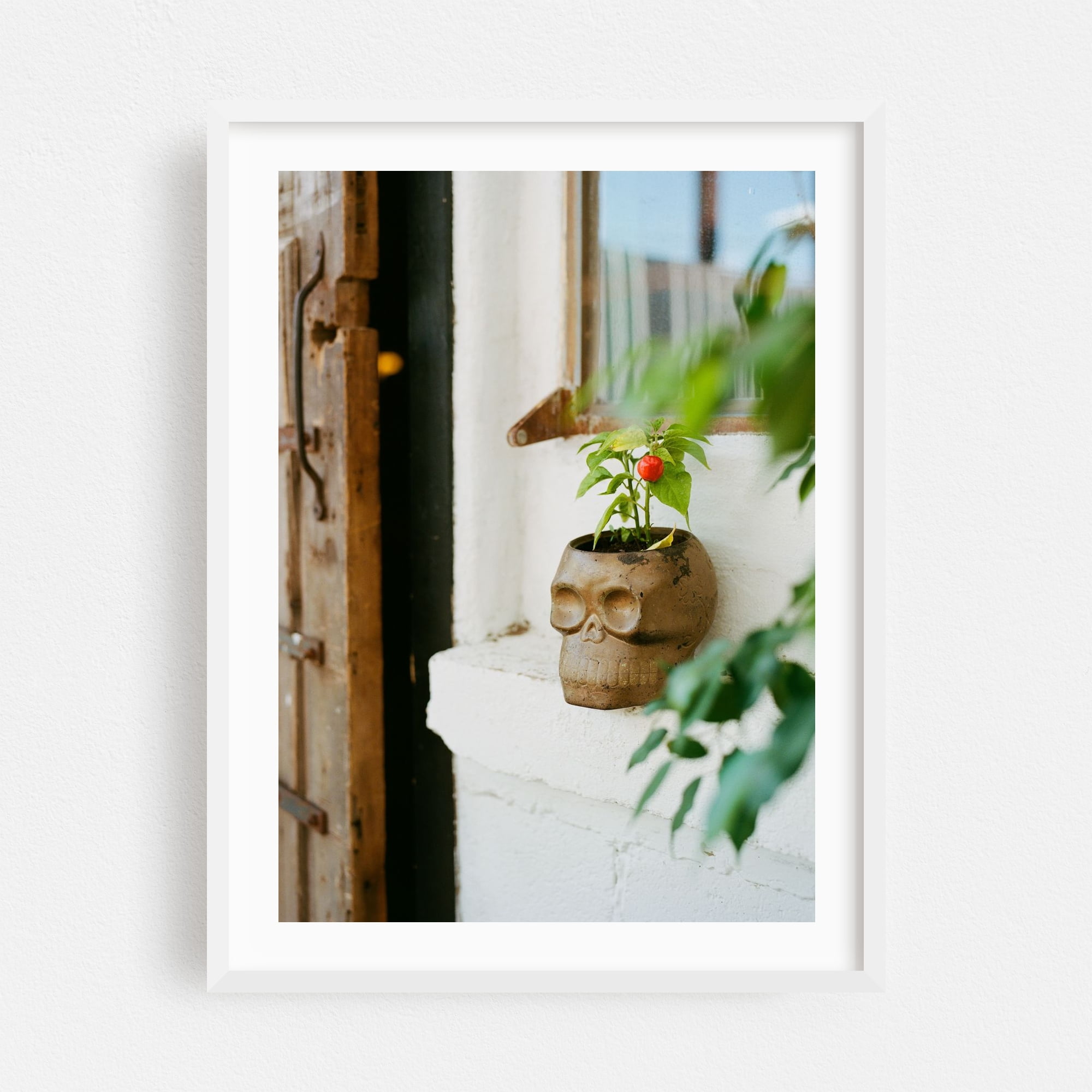 Marfa Texas VI - Marfa Texas Photography Skull Gothic Halloween Garden ...